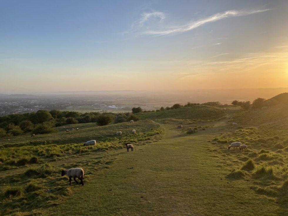 Best Hill Walks In The Cotswolds To Explore Nature's Beauty